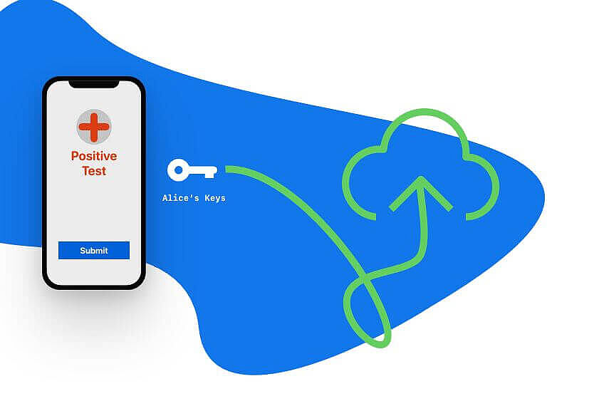 CrypTool project illustrates the underlying principles of decentralized ...